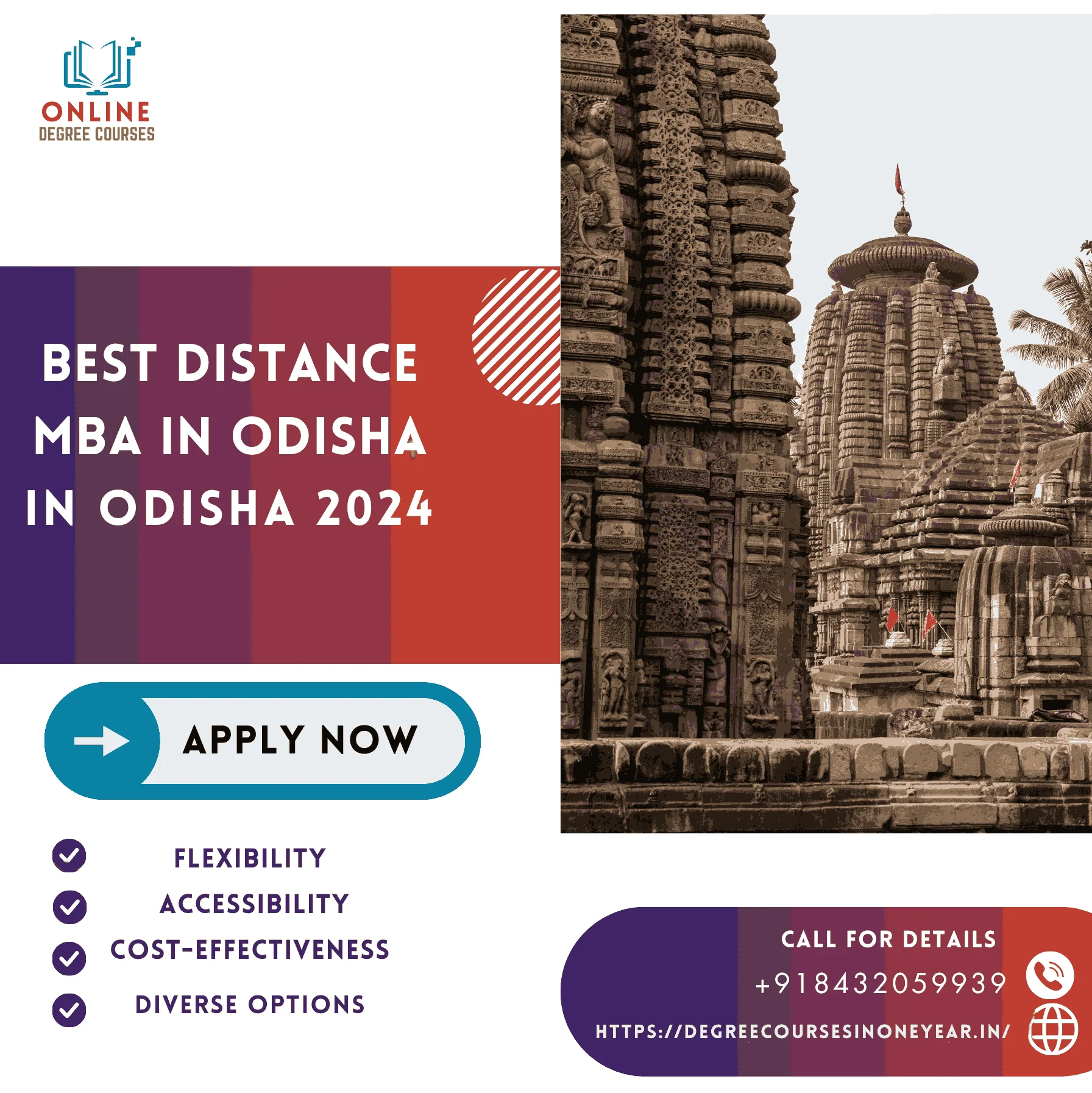 Distance MBA in Odisha | One Year degree courses 2024